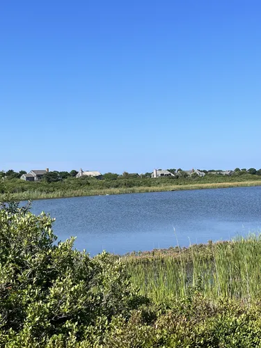 10 Best Trails and Hikes in Nantucket | AllTrails