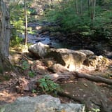 Trumbull Loop, Connecticut - 296 Reviews, Map | AllTrails