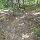 Trumbull Loop, Connecticut - 333 Reviews, Map | AllTrails