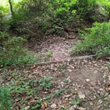 Trumbull Loop, Connecticut - 333 Reviews, Map | AllTrails