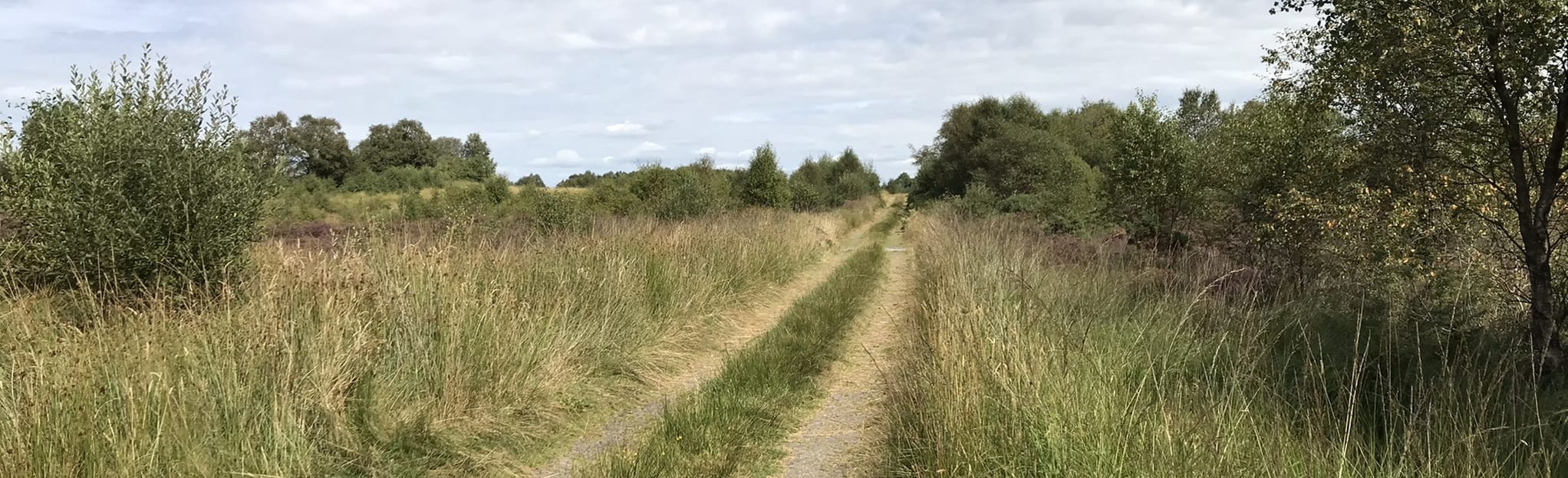 Edenmore Bog Loop: 11 Reviews, Map - County Longford, Ireland | AllTrails
