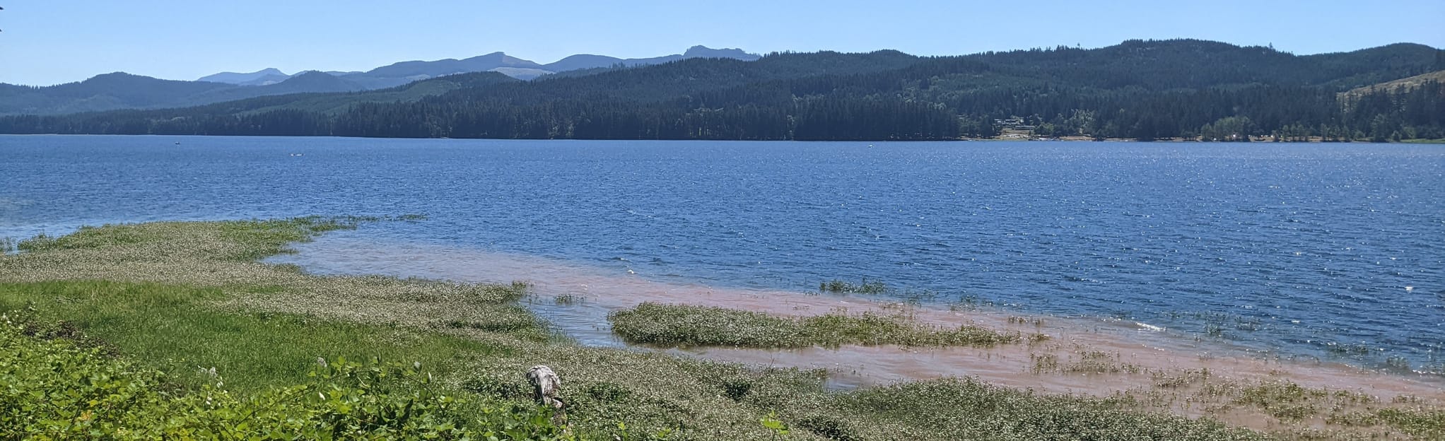 Row River Trail at Dorena Lake: 78 Reviews, Map - Oregon | AllTrails