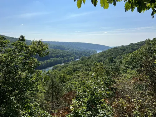 Best Hikes and Trails in Webb Mountain Park | AllTrails