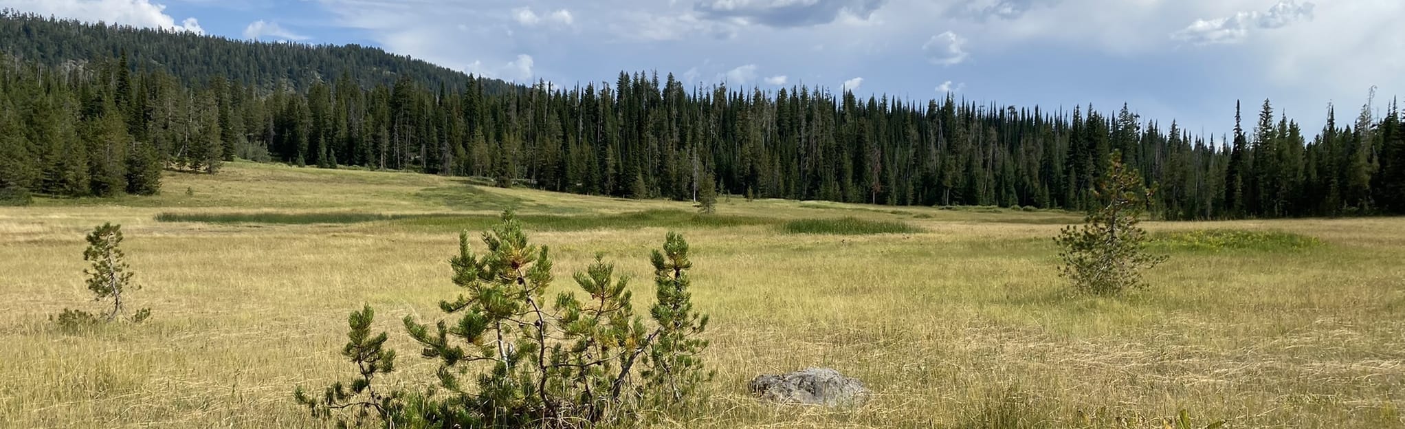 Bechler River Trail: 19 Reviews, Map - Idaho | AllTrails