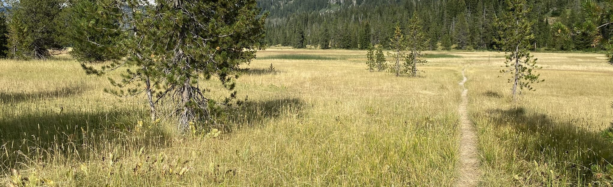 AllTrails | Boundary Creek, Bechler Meadows and Bechler River: 34 ...