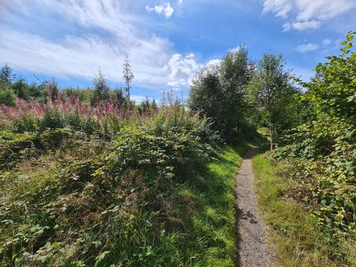 Best Hikes and Trails in Slieve Bloom Mountains Nature Reserve | AllTrails