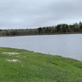 Martin Head, New Brunswick, Canada - 17 Reviews, Map | AllTrails