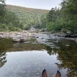 Viles Branch Equestrian Trail, Arkansas - 48 Reviews, Map | AllTrails