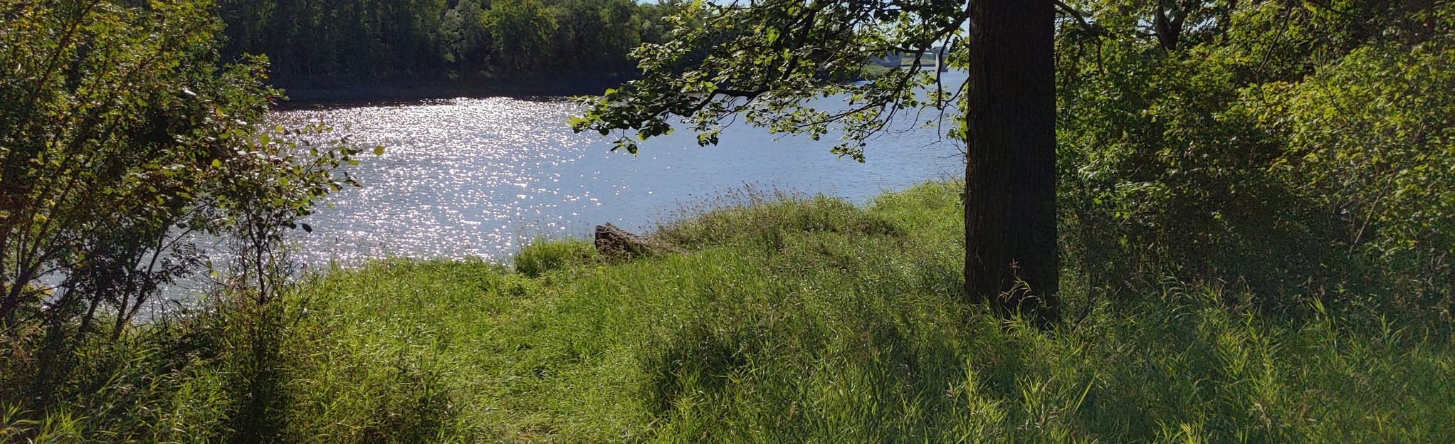 Pollock Island Loop: 88 Reviews, Map - Manitoba, Canada | AllTrails