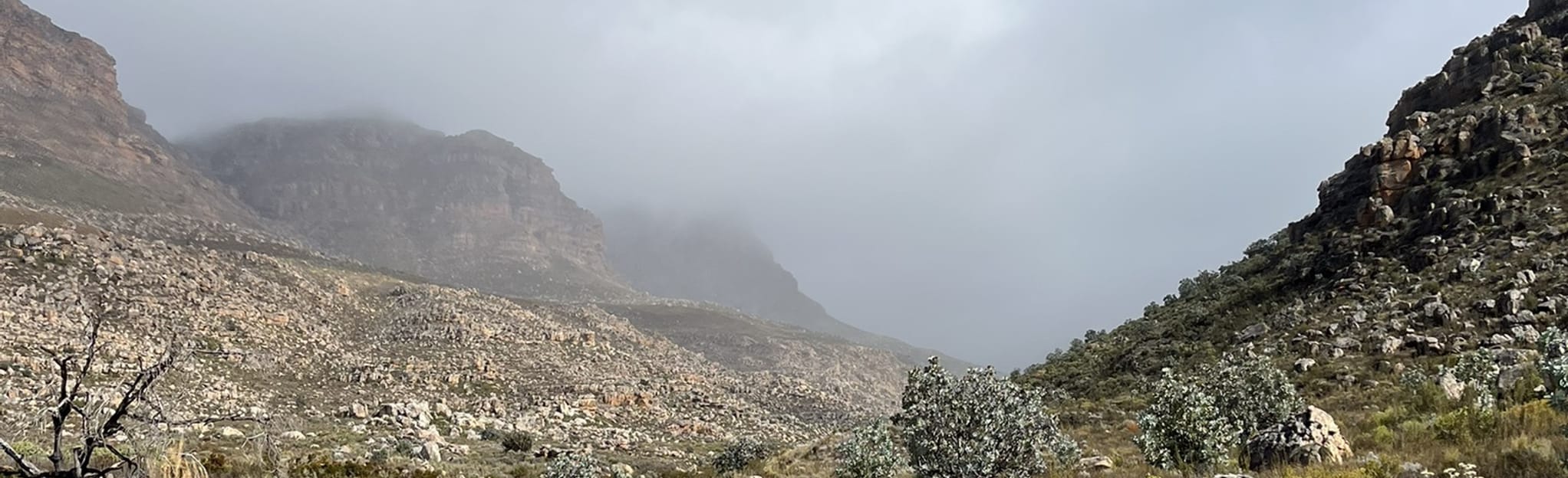 Disa Pool: 29 foto - provincia del Capo Occidentale, Sudafrica | AllTrails