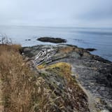 Iceberg Point Trail, Washington - 352 Reviews, Map | AllTrails