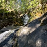 Syphon Falls Trail, British Columbia, Canada - 204 Reviews, Map | AllTrails