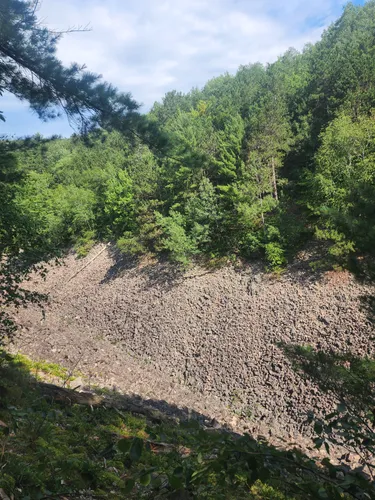 Best Forest Trails in Weyerhaeuser | AllTrails