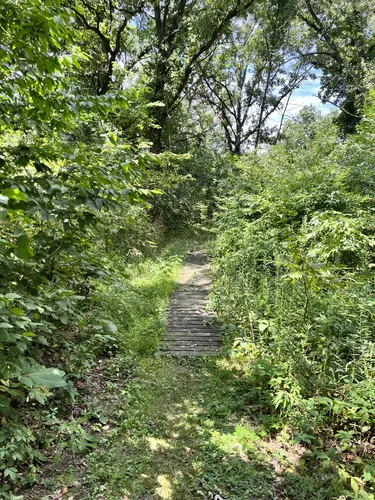 Best Hikes and Trails in Bur Oak Woods Nature Preserve | AllTrails