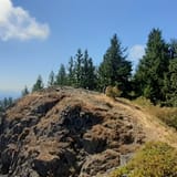 Mount June Trail, Oregon - 239 Reviews, Map | AllTrails