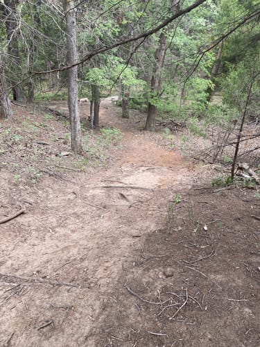 Best Hikes and Trails in Boiling Springs State Park | AllTrails