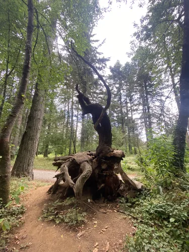 Best Hikes and Trails in Orchards Park | AllTrails