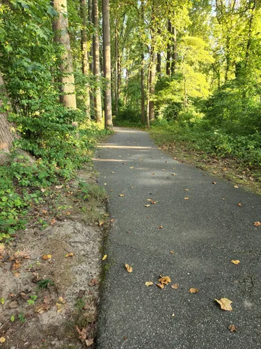 10 Best Trails and Hikes in Annapolis | AllTrails