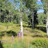 Crystal Springs Loop, Utah - 126 Reviews, Map | AllTrails