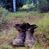 Crystal Springs Loop, Utah - 126 Reviews, Map | AllTrails