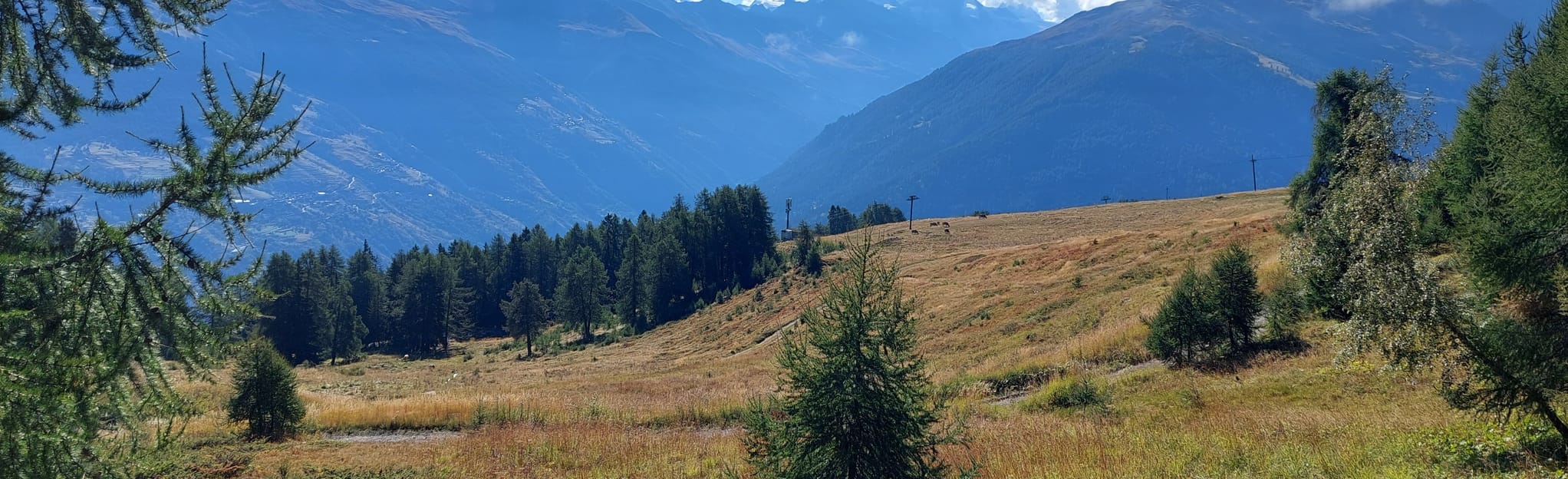 Trabatta - Thyon - Les Collons: 3 Reviews, Map - Valais, Switzerland ...