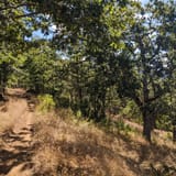 Weldon Wagon Road Trail, Washington - 437 Reviews, Map | AllTrails