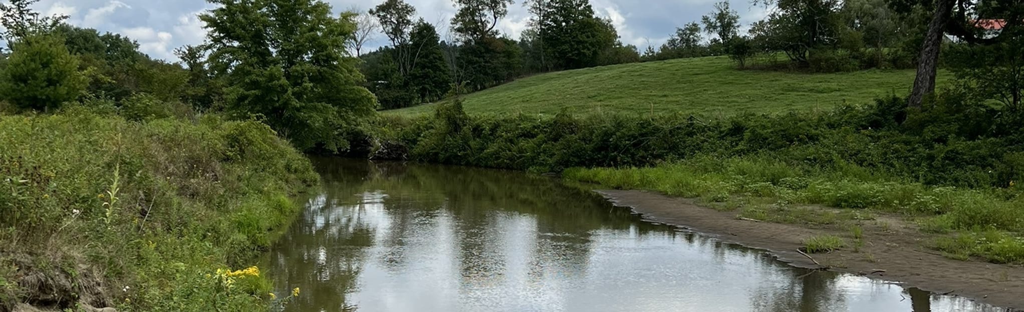 Misty Meadow, Riverside, Solitude, and Rodgers Ridge Trail Loop ...