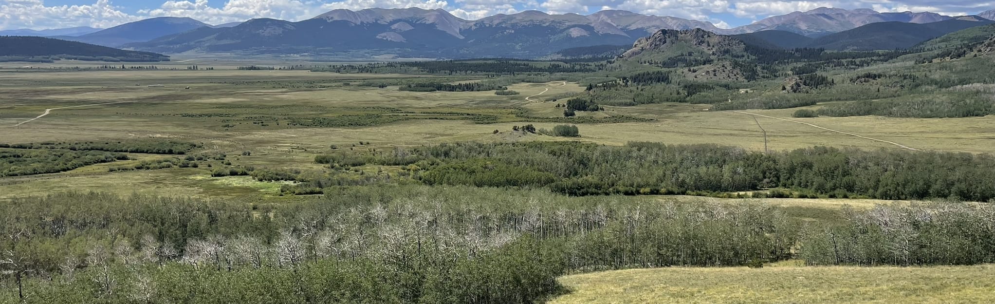 Kenosha Pass North, Colorado - 1,564 Reviews, Map | AllTrails