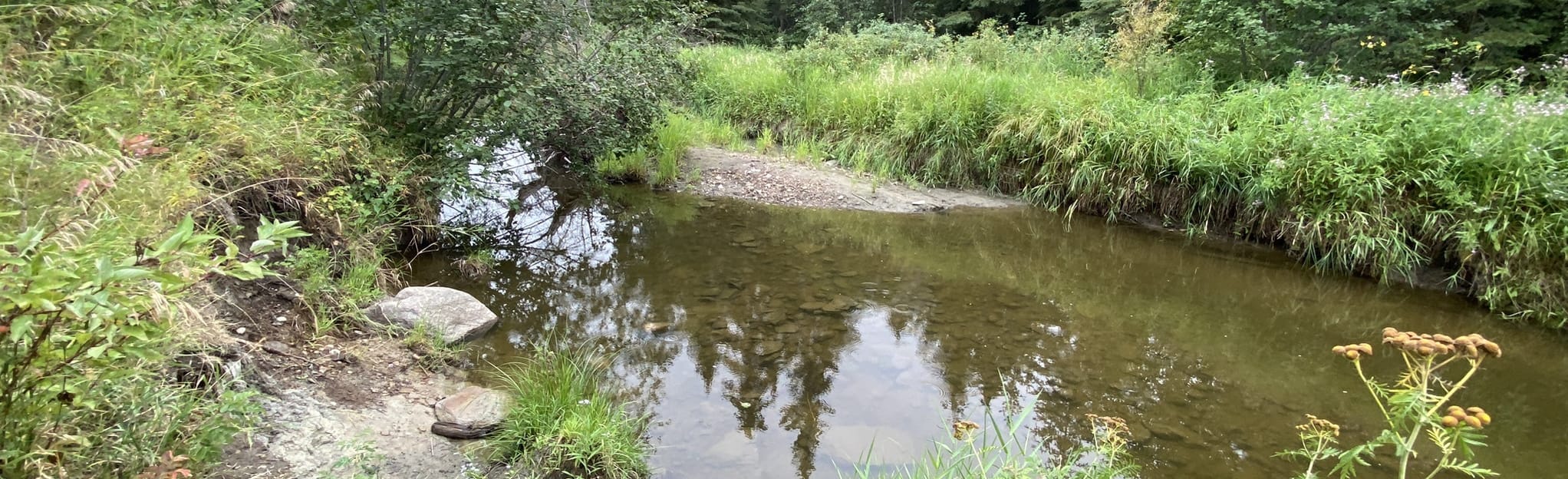 Blackmud Creek Ravine Loop - Alberta, Canada | AllTrails