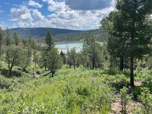 10 Best Trails and Hikes in Ruidoso | AllTrails