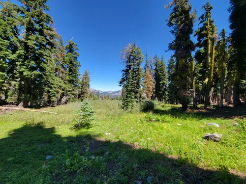 Best Hikes and Trails in Alpine Meadows | AllTrails