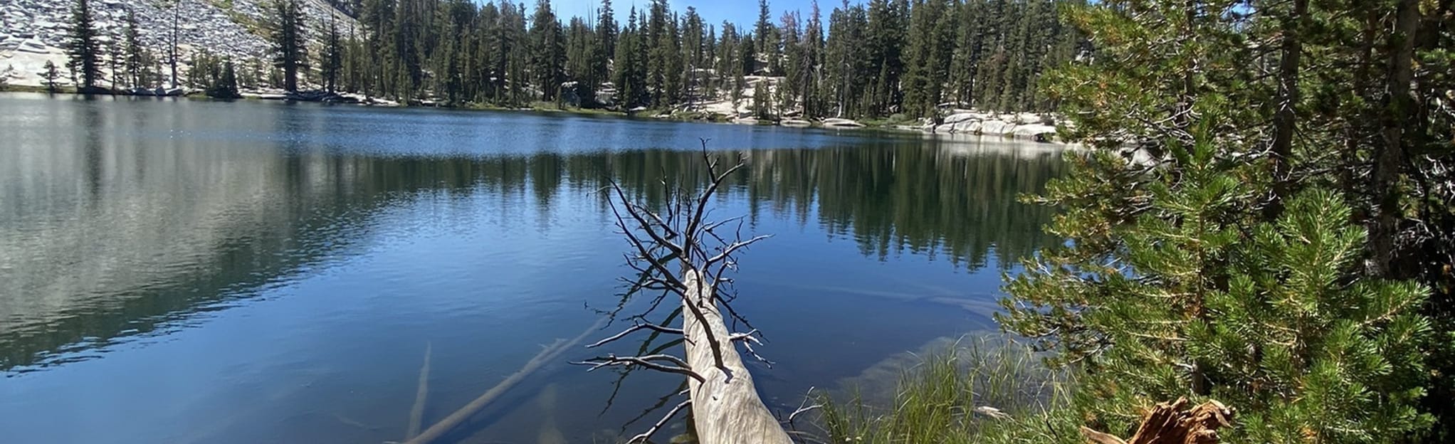 Sunrise High Sierra Camp, California - 41 Reviews, Map | AllTrails