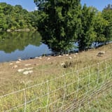 Ted Rhodes Park and MetroCenter Levee Greenway, Tennessee - 170 Reviews ...