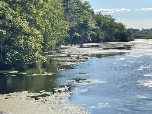 Best Hikes and Trails in Alpena Island Park | AllTrails