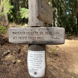 Yoran Lake Trail, Oregon - 72 Reviews, Map | AllTrails