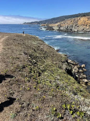 10 Best Hikes and Trails in Salt Point State Park | AllTrails