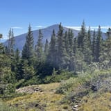 Peerless Mountain and Horseshoe Pass, Colorado - 63 Reviews, Map ...