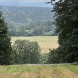 Tolt Pipeline Trail, Washington - 353 Reviews, Map | AllTrails