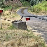 Tolt Pipeline Trail, Washington - 353 Reviews, Map | AllTrails