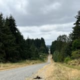 Tolt Pipeline Trail, Washington - 353 Reviews, Map | AllTrails