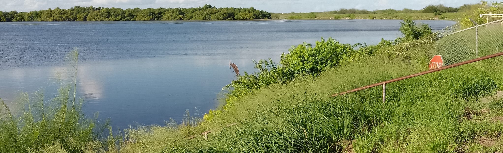 Lake Findlay East Trail, Texas - Map, Guide | AllTrails