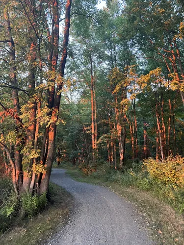 Best Hikes and Trails in Mercer Meadows | AllTrails