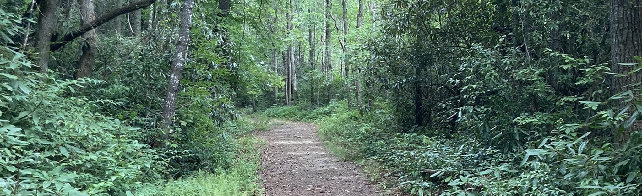 Nolan’s Creek Trail to Lower Noland Creek Boater Camp #66, North ...