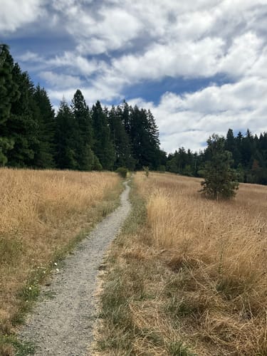 2023 Best 10 Trails and Hikes in Eugene | AllTrails