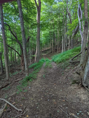 Best Hikes and Trails in Ryerson Station State Park | AllTrails