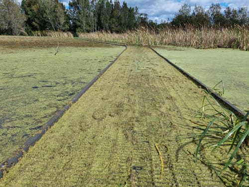 Best Hikes and Trails in Hunter Wetlands National Park | AllTrails