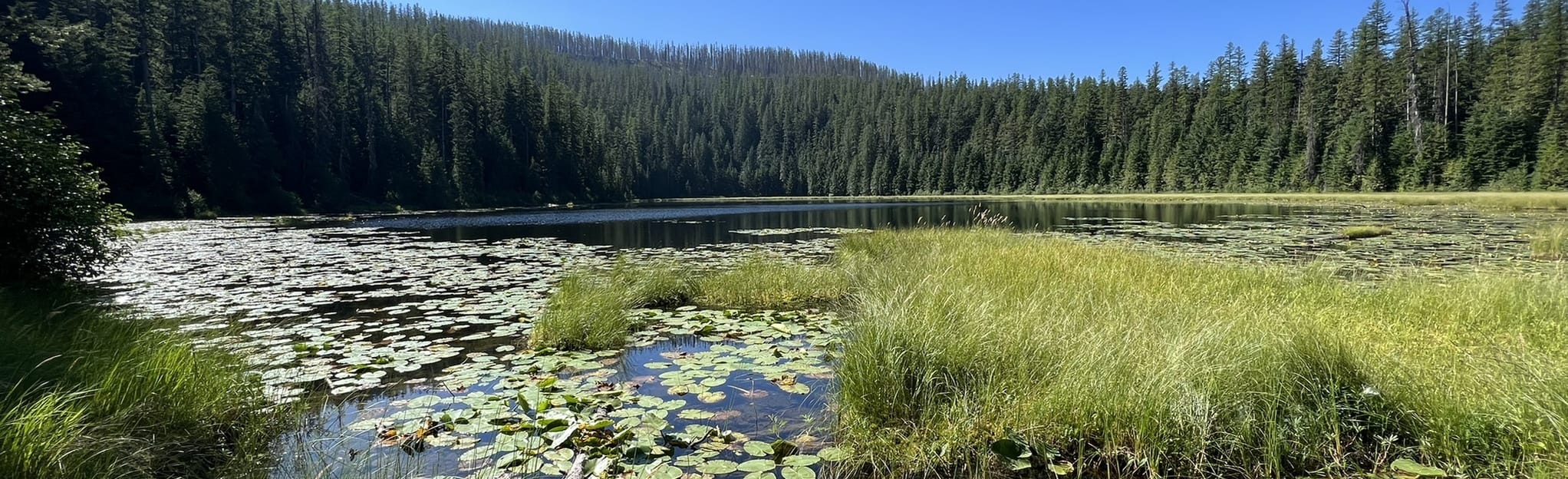 Fish Lake, Montana - 376 Reviews, Map | AllTrails