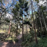 Samford Conservation Park Loop, Queensland, Australia - 465 Reviews, Map | AllTrails