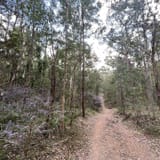 Samford Conservation Park Loop, Queensland, Australia - 465 Reviews ...