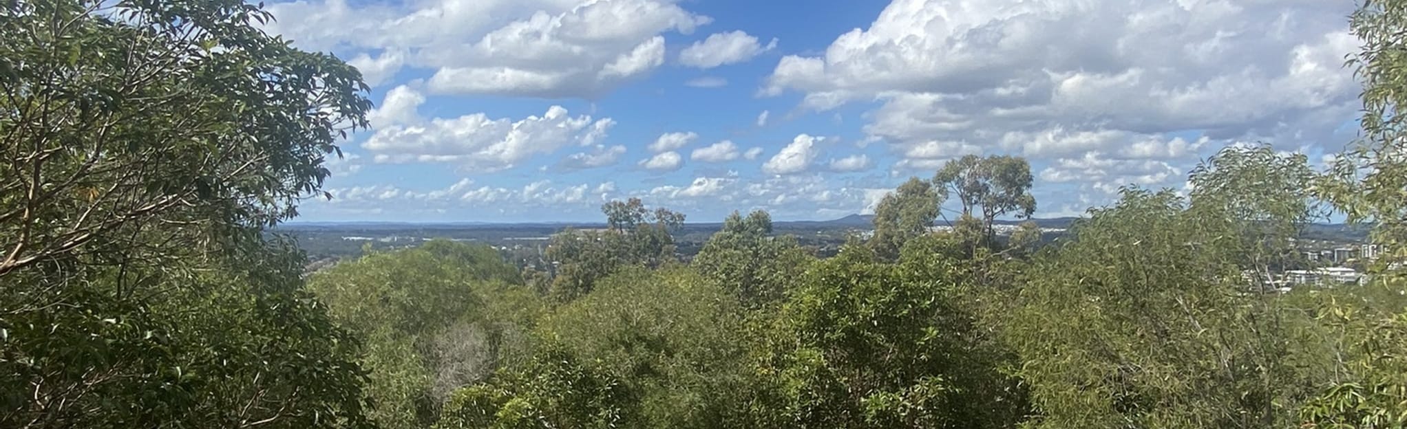 Mount Gravatt Lookout via Logan Road: 30 Reviews, Map - Queensland ...